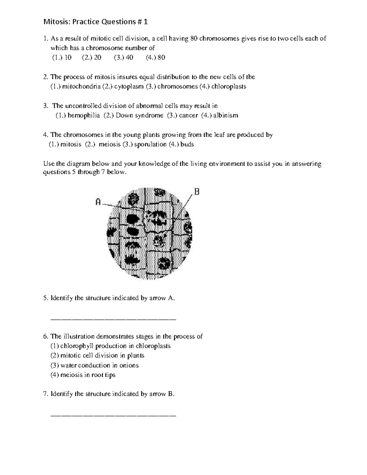 Practice Questions 1: Mitosis (Cell Division Concepts) - Studocu