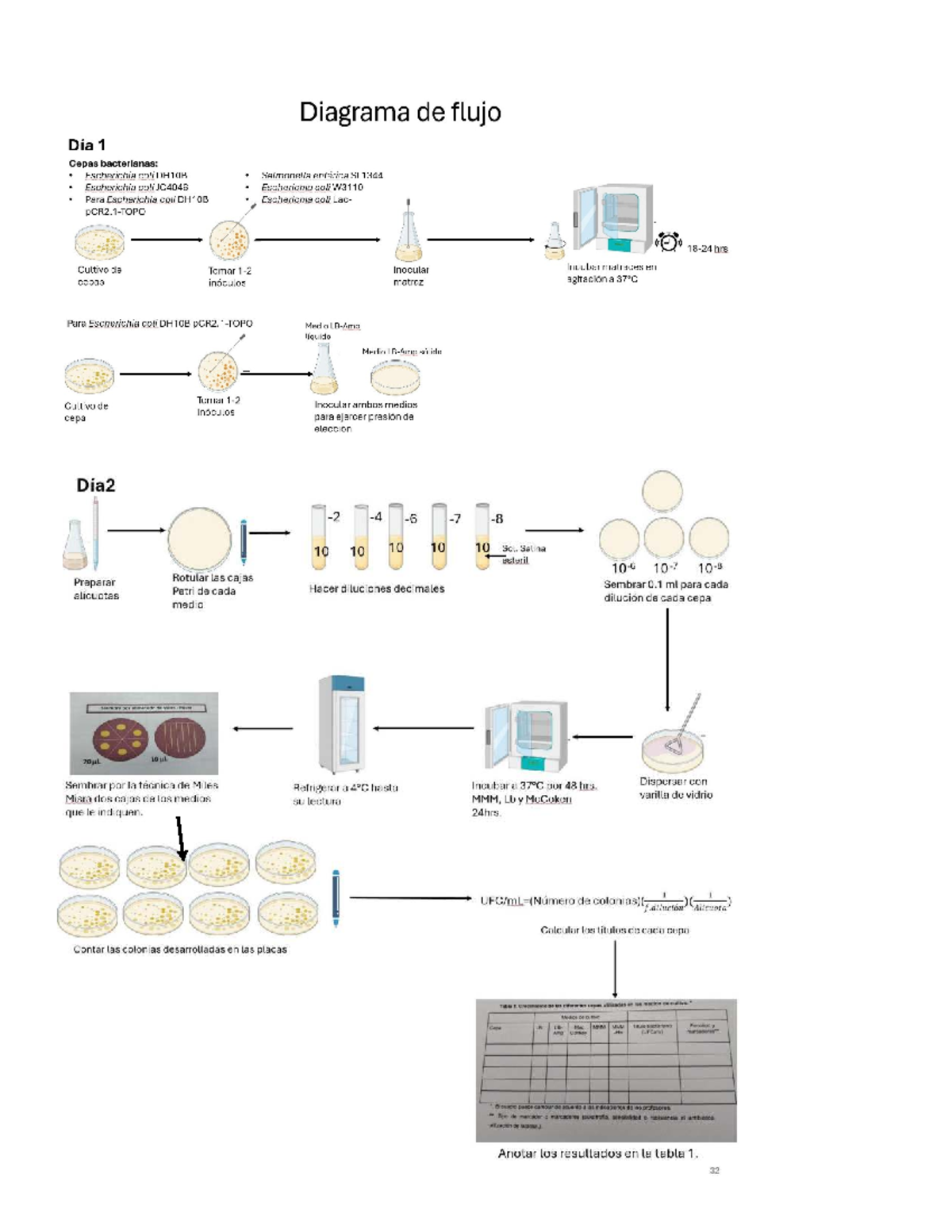 Diagrama de flujo: Cultivo y Análisis de Cepas Bacterianas - Studocu
