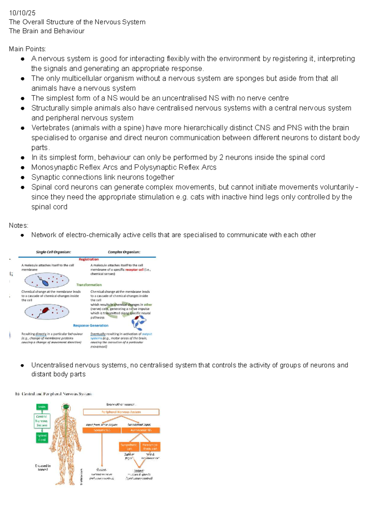 Week 2: Overview of Nervous System Structure and Function - Studocu