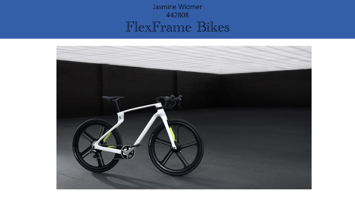 C216 Task 1: FlexFrame Bikes Strategic Overview & Objectives - Studocu
