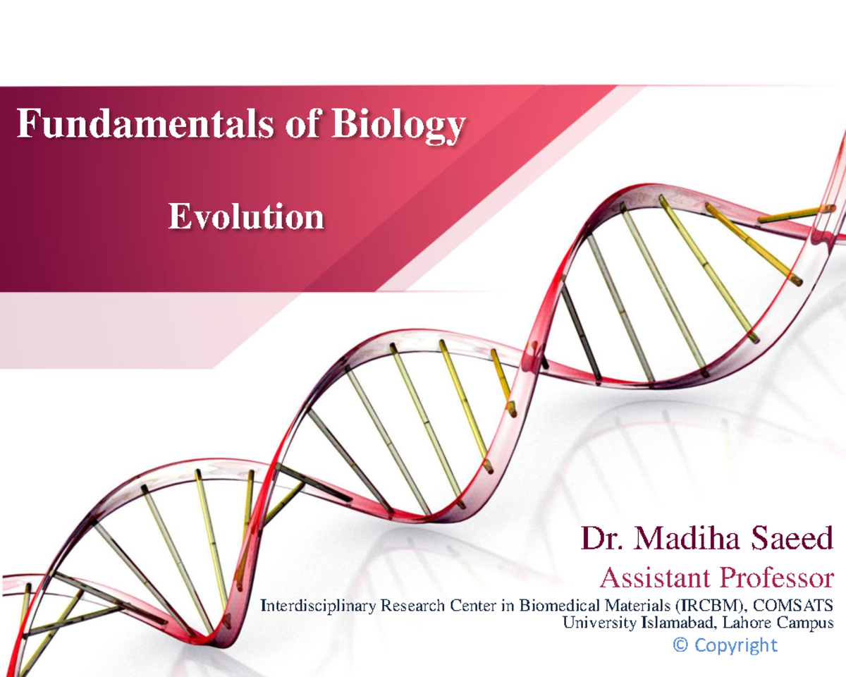 Understanding Evolution: Natural Selection and Diversity of Life - The ...