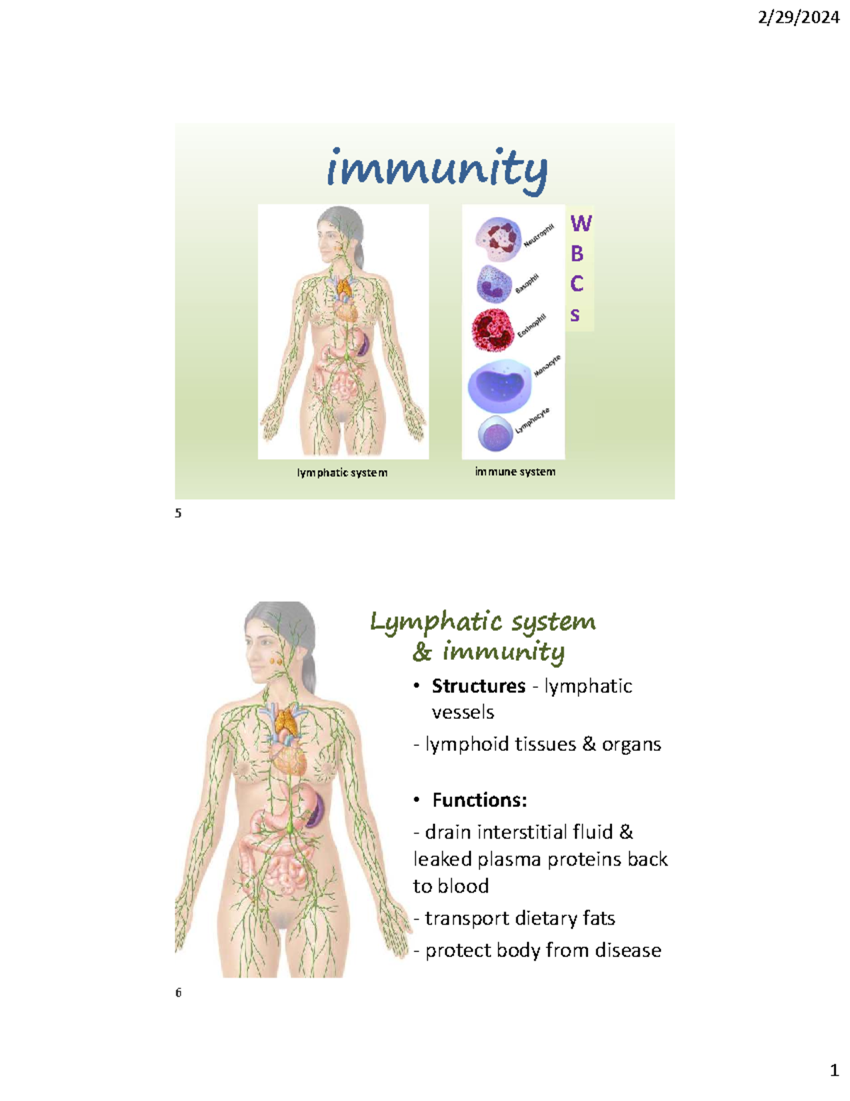 Adaptive Immunity and Lymphatic System Overview (BIOS 101) - Studocu