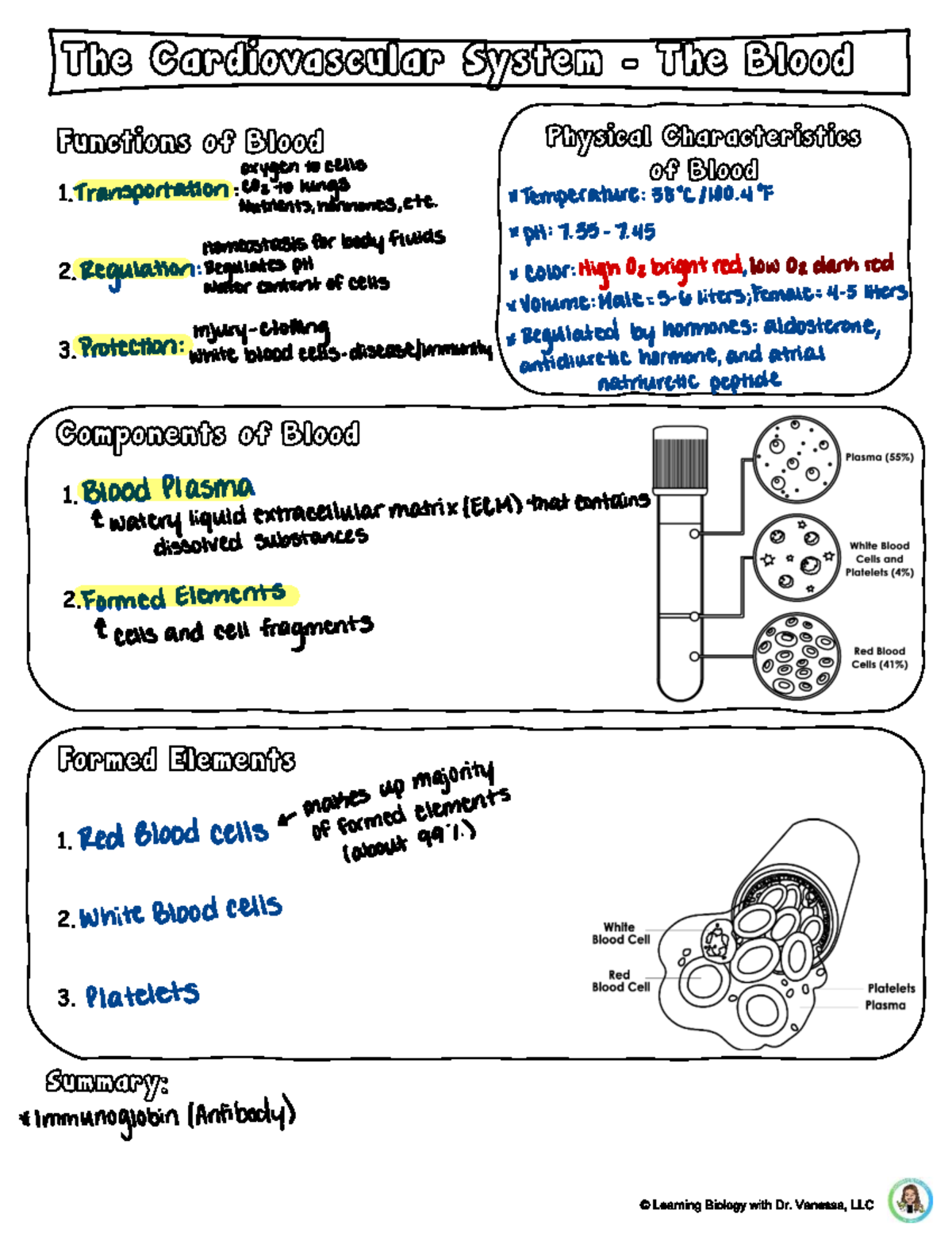 Blood Components and Functions: Hematology Overview (Biology 101 ...