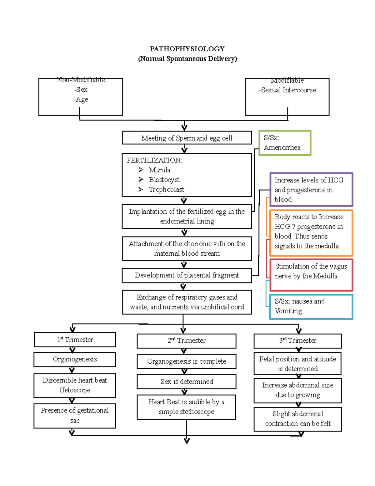 Pathophysiology - Physiology of Normal Spontaneous Delivery Overview ...