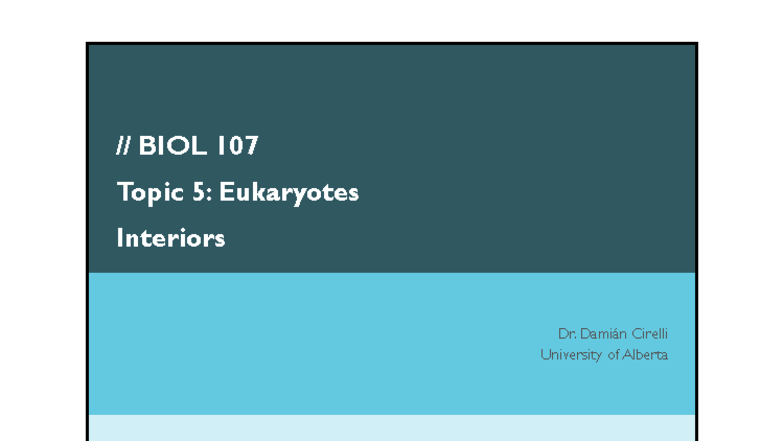 BIOL 107 Final Exam Notes: Eukaryotic Interiors Overview - Studocu