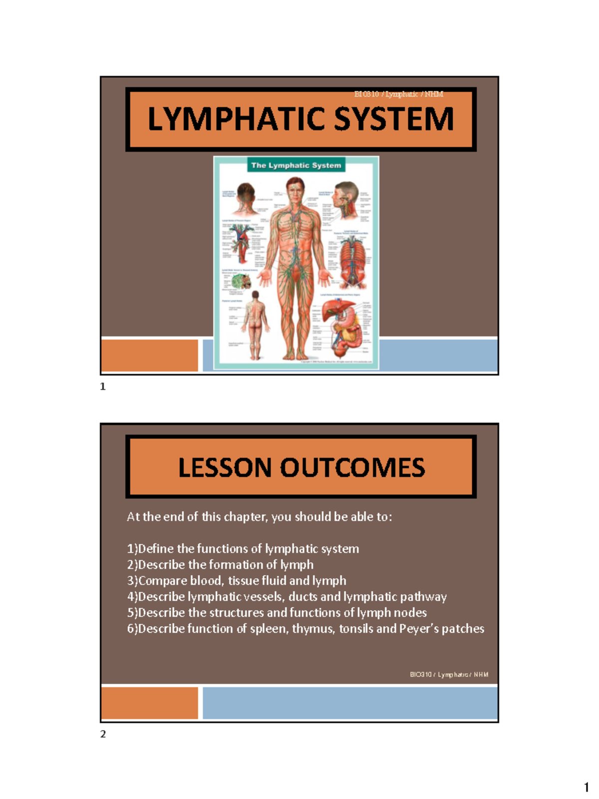 BIO310 Chapter 3: Lymphatic System Overview and Key Concepts - Studocu