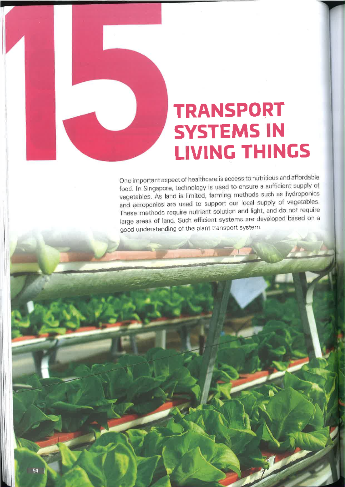 3157 001 - Transport Systems in Living Organisms: A Comprehensive ...