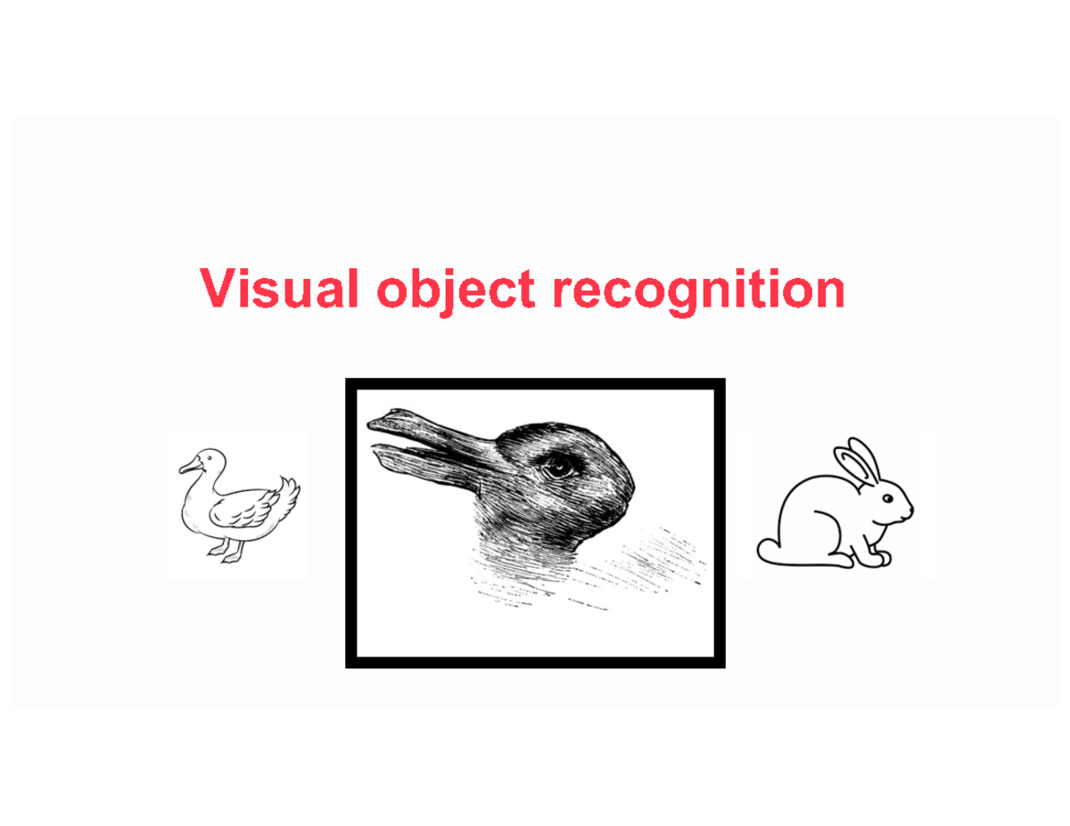 11 Object Recognition - Lecture Notes on Visual Perception Principles ...