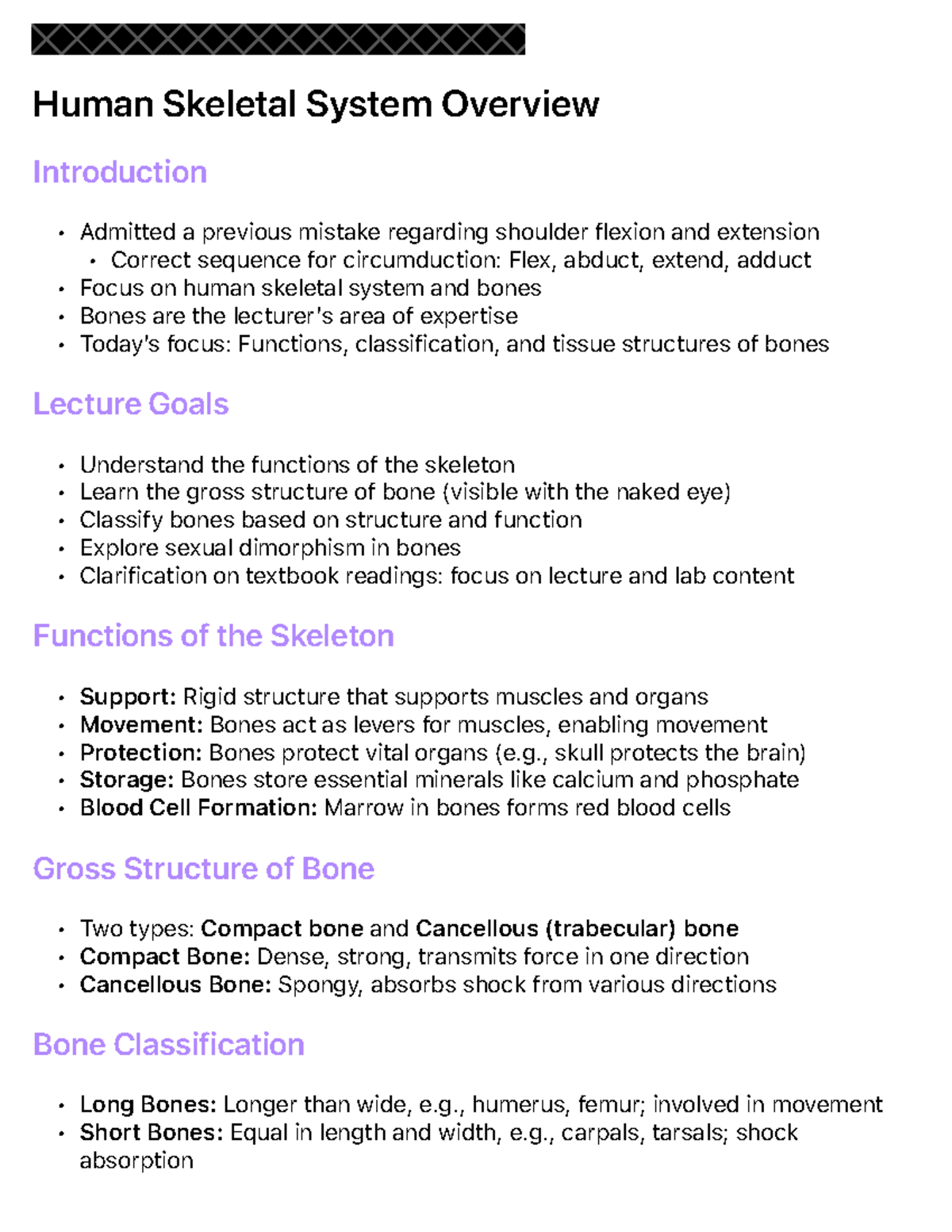 Human Skeletal System Overview: Lecture 3 Notes - Studocu