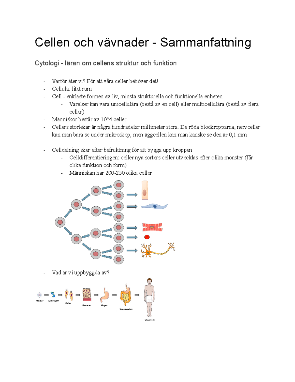 Celler och Vävnader - Sammanfattning av Cytologi och DNA (BT114) - Studocu