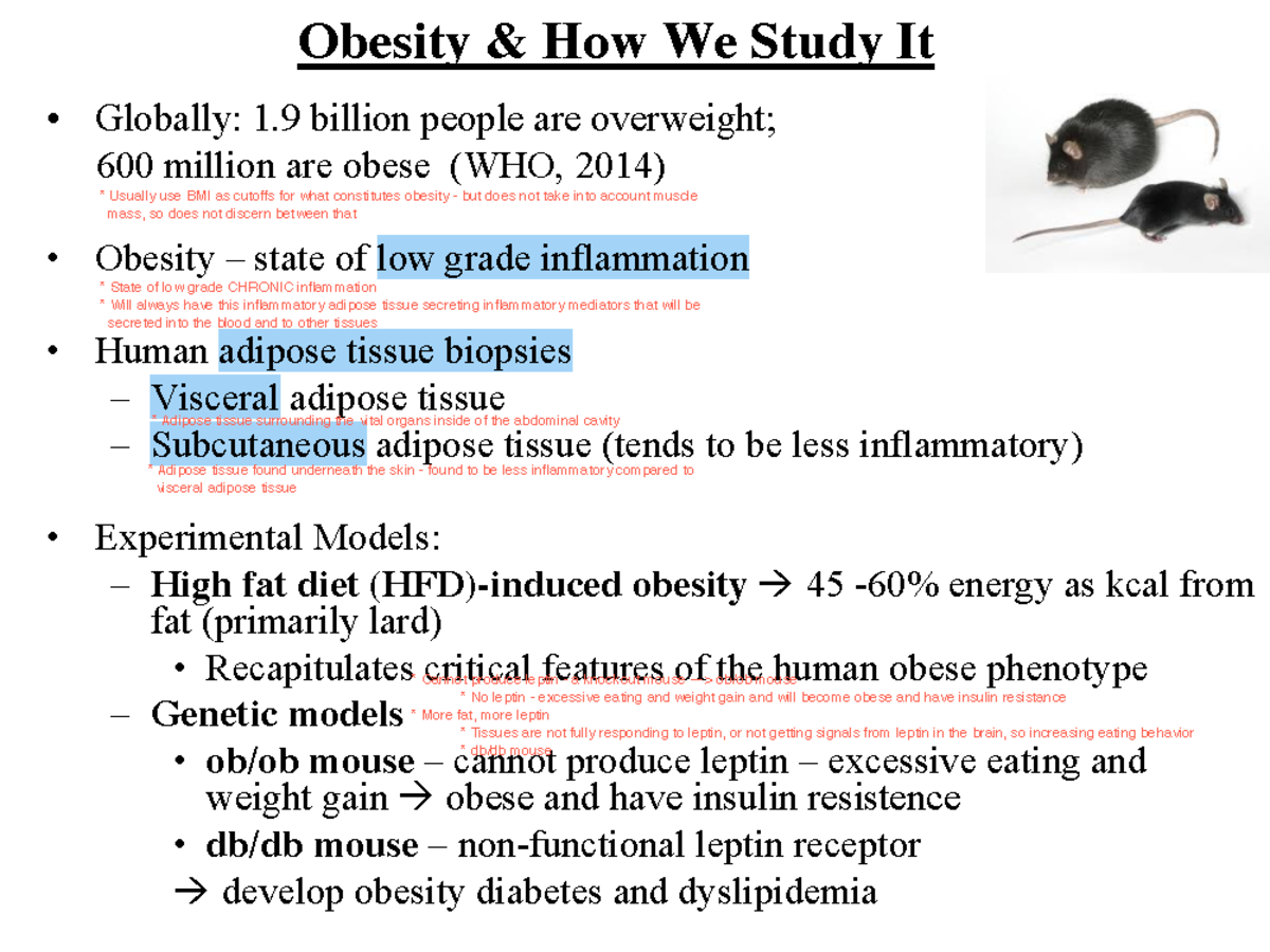Lecture Notes, Lectures 8 - Understanding Obesity & Inflammation Part 1 ...