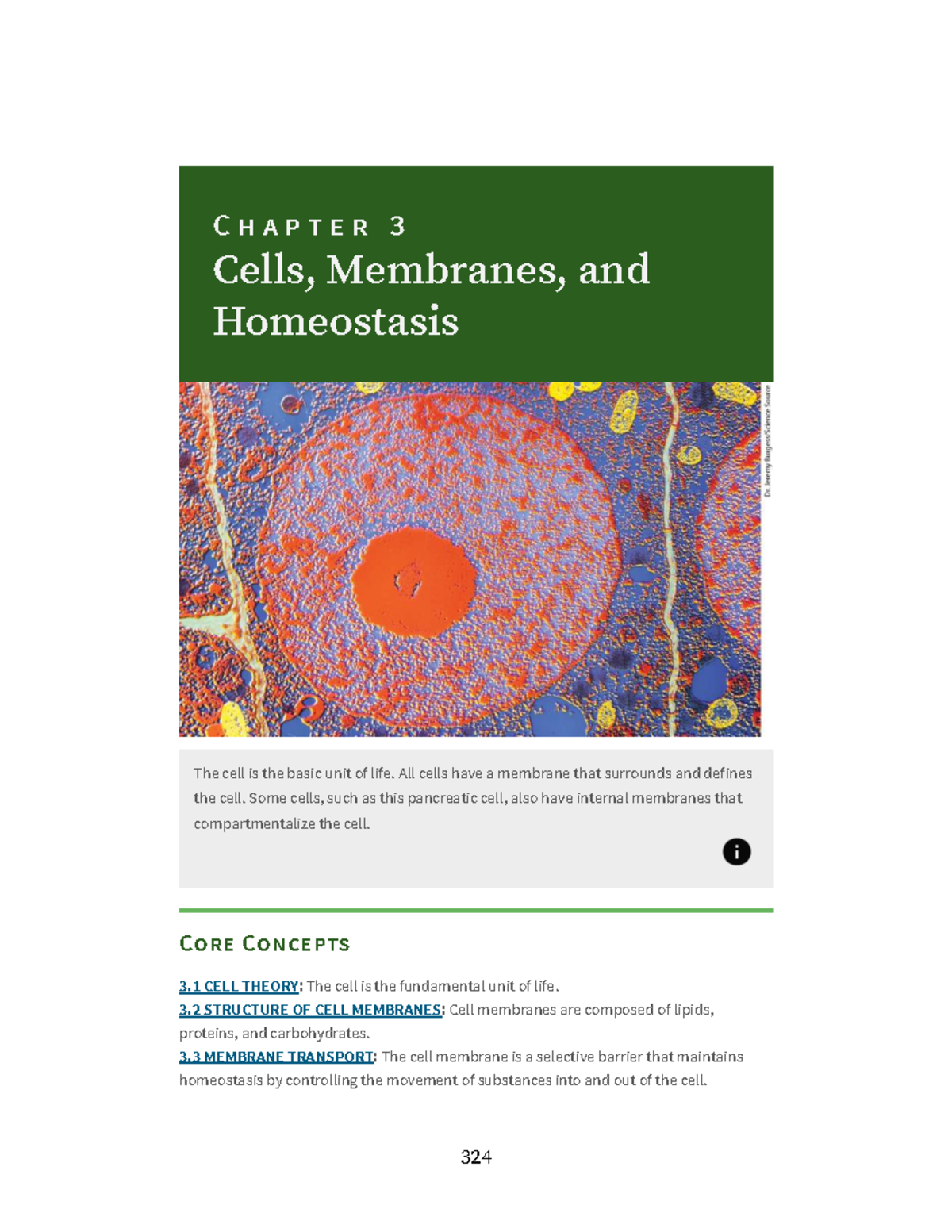 Biology C 3: Cells, Membranes, and Homeostasis Overview - Studocu