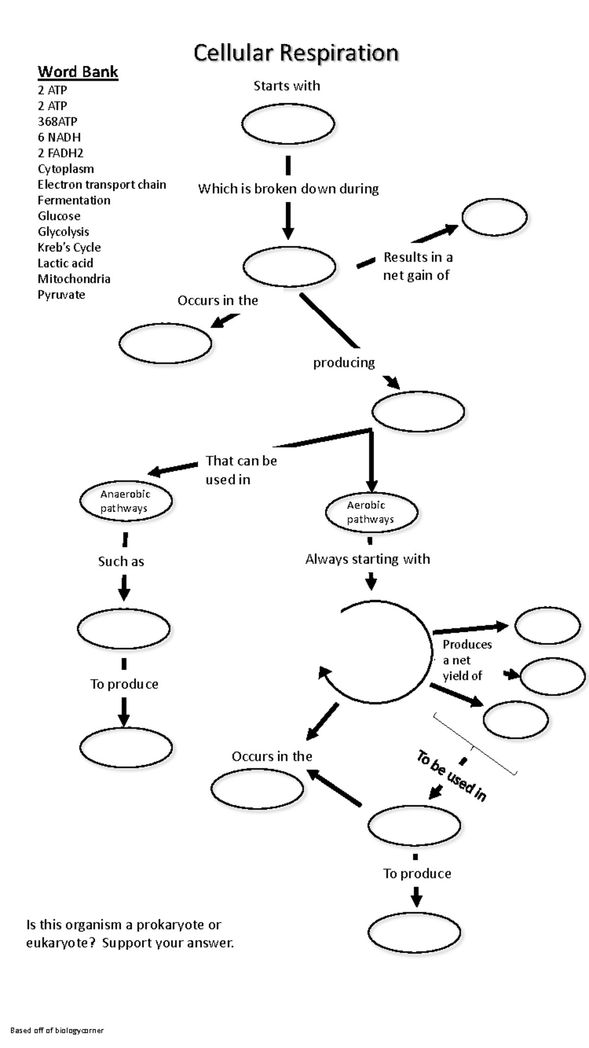Cell Respiration worksheet - Cellular Respiration Starts with Which is ...