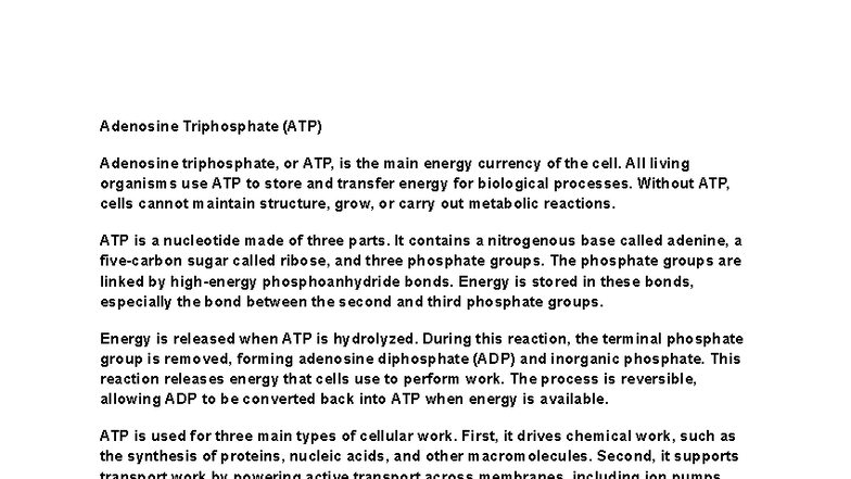 ATP: The Energy Currency of Life and Its Cellular Functions - Studocu