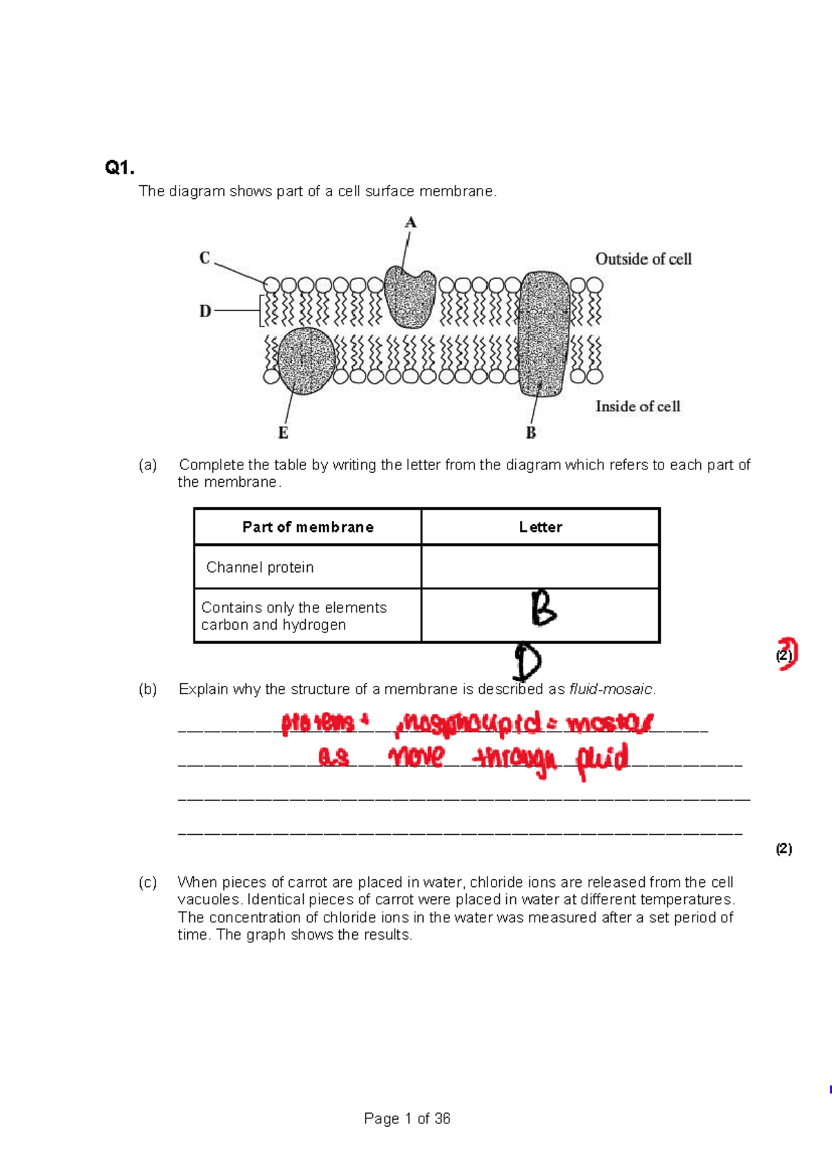 Transport Across Membranes: Q&A Booklet for Biology Studies - Studocu