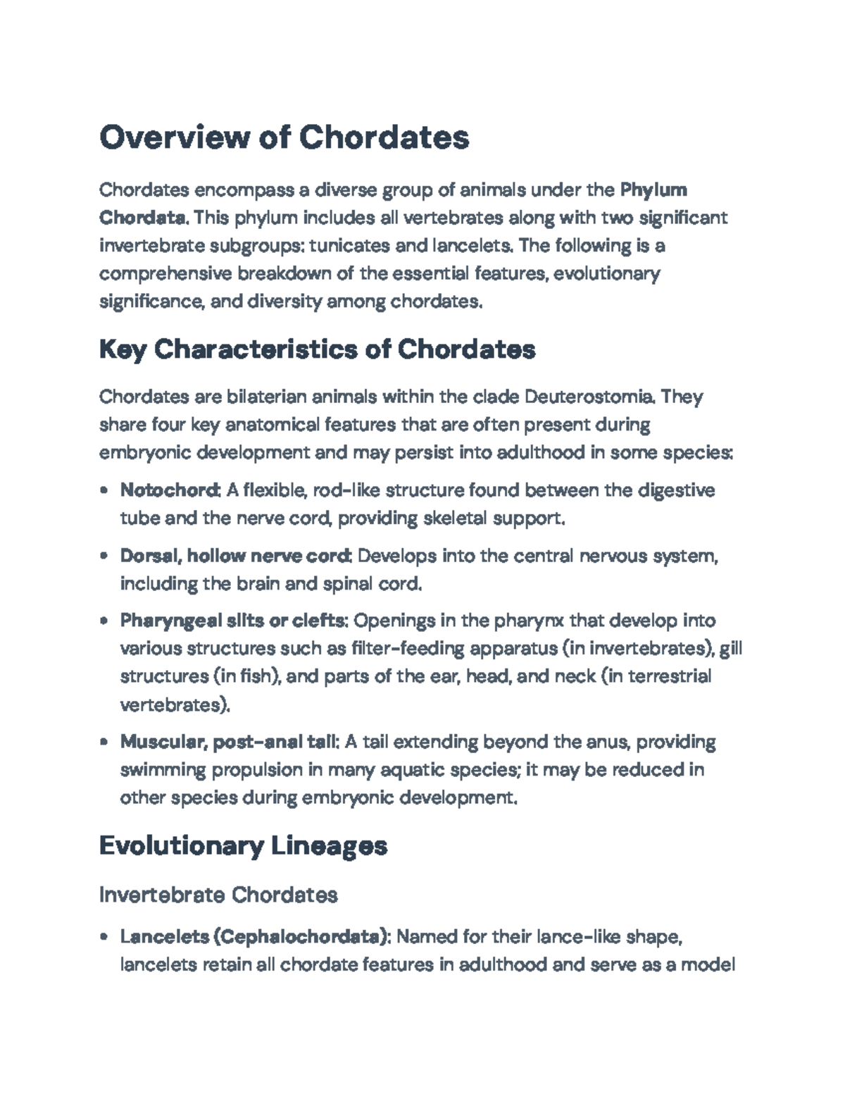 Chordates 101: Key Features and Evolution of Phylum Chordata - Studocu