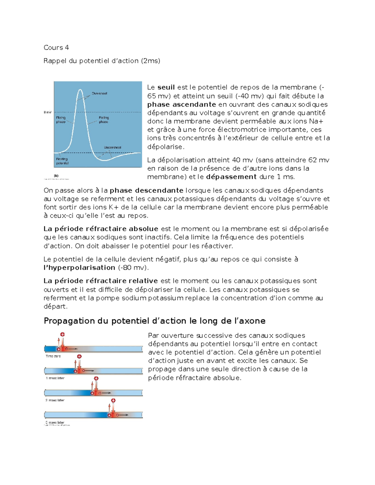 Cours 4 : Potentiel d'Action et Transmission Synaptique - PSY1048 - Studocu