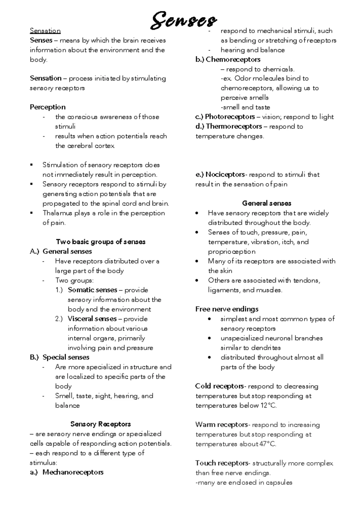 ANATOMY AND PHYSIOLOGY WITH PATHOPHYSIOLOGY- Nervous System (notes ...