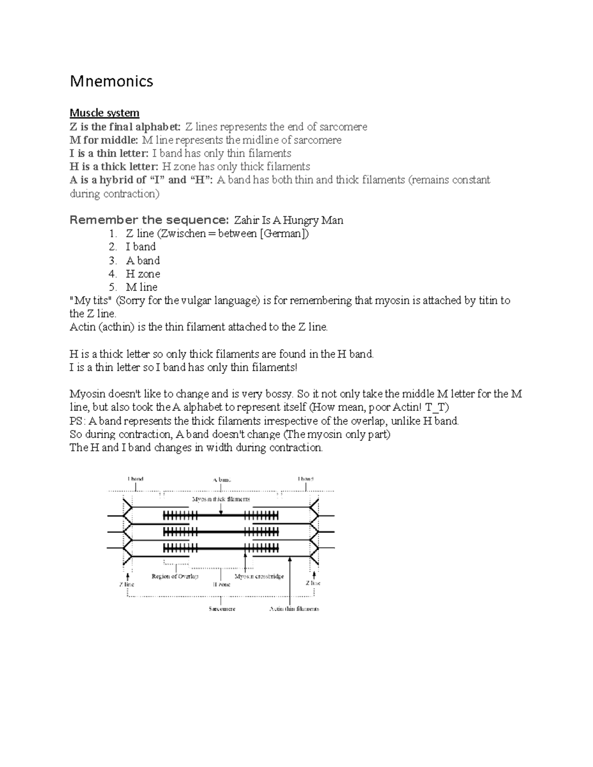 Mnemonics for Muscle System - Sarcomere Filament Structure - Studocu