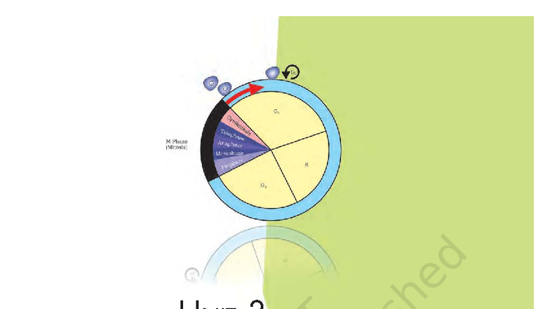 BIO 88 UNIT 3: CELL STRUCTURE, FUNCTIONS & BIOMOLECULES - Studocu