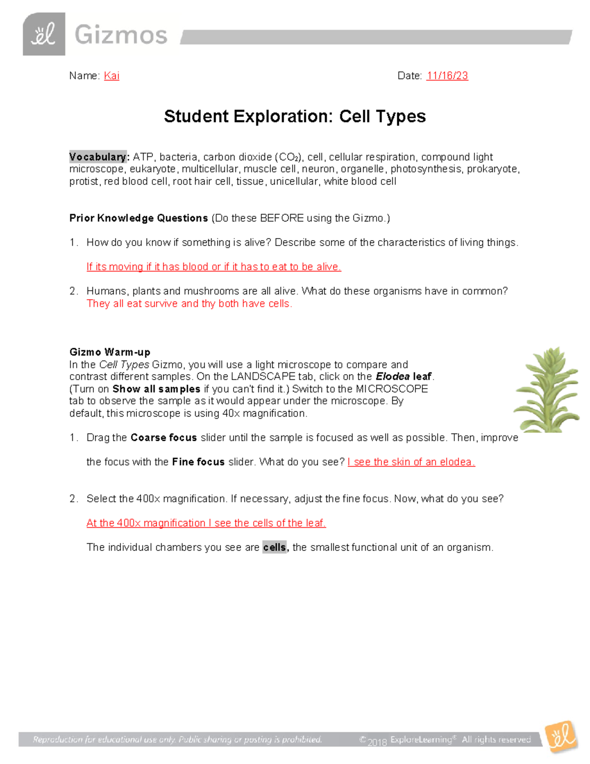 Cell types Gizmo Completed - Name: Kai Date: 11/16/ Student Exploration ...