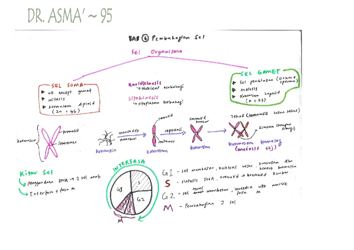 BIO F4 KSSM BAB 3 - Nota Pengangkutan Melalui Membran Plasma - Studocu
