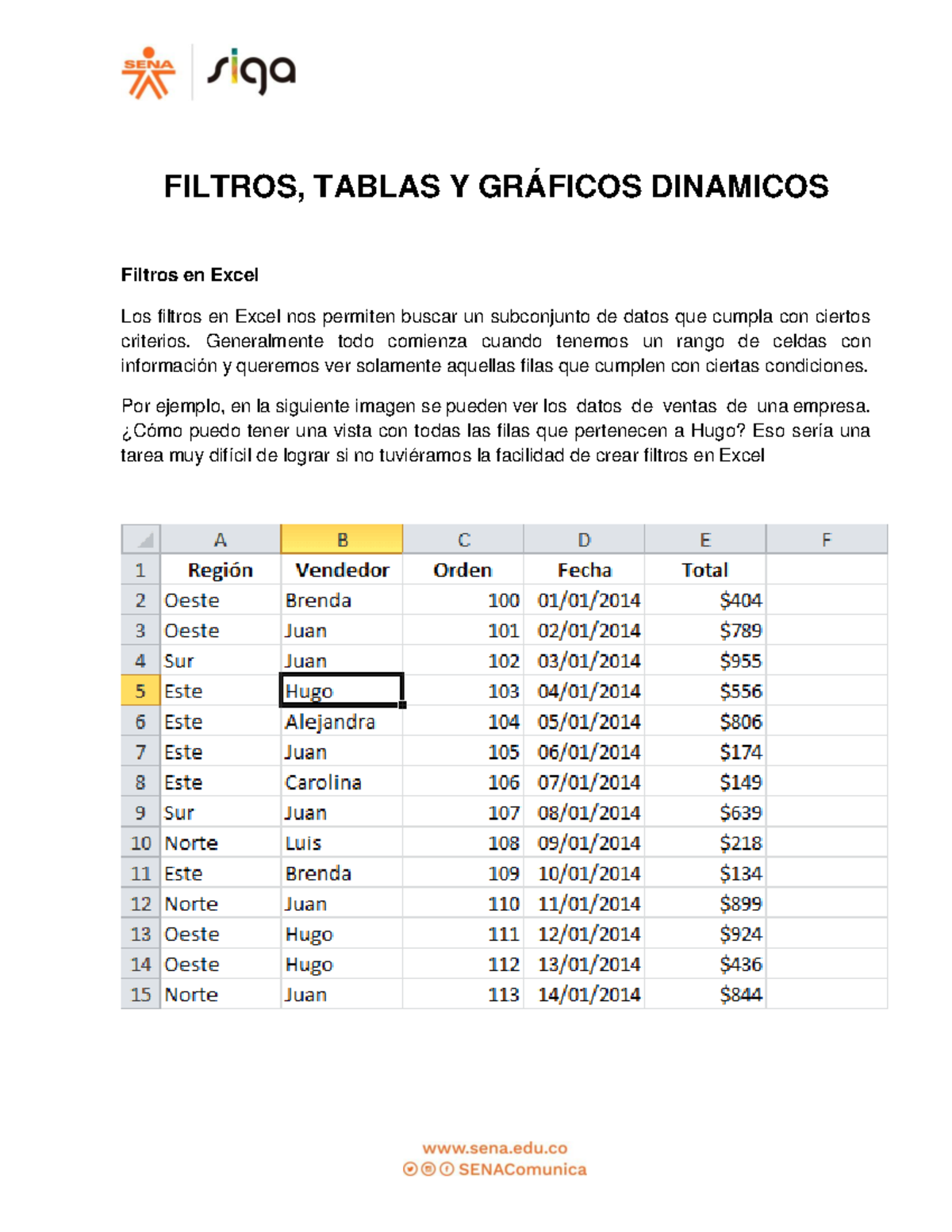 Guía de Filtros y Tablas Dinámicas en Excel - Curso de Informática ...