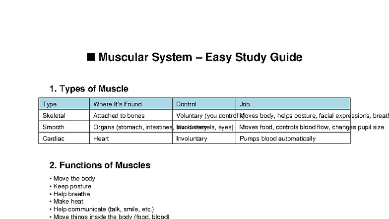 Muscular System Study Guide: Key Functions & Structures Review - Studocu