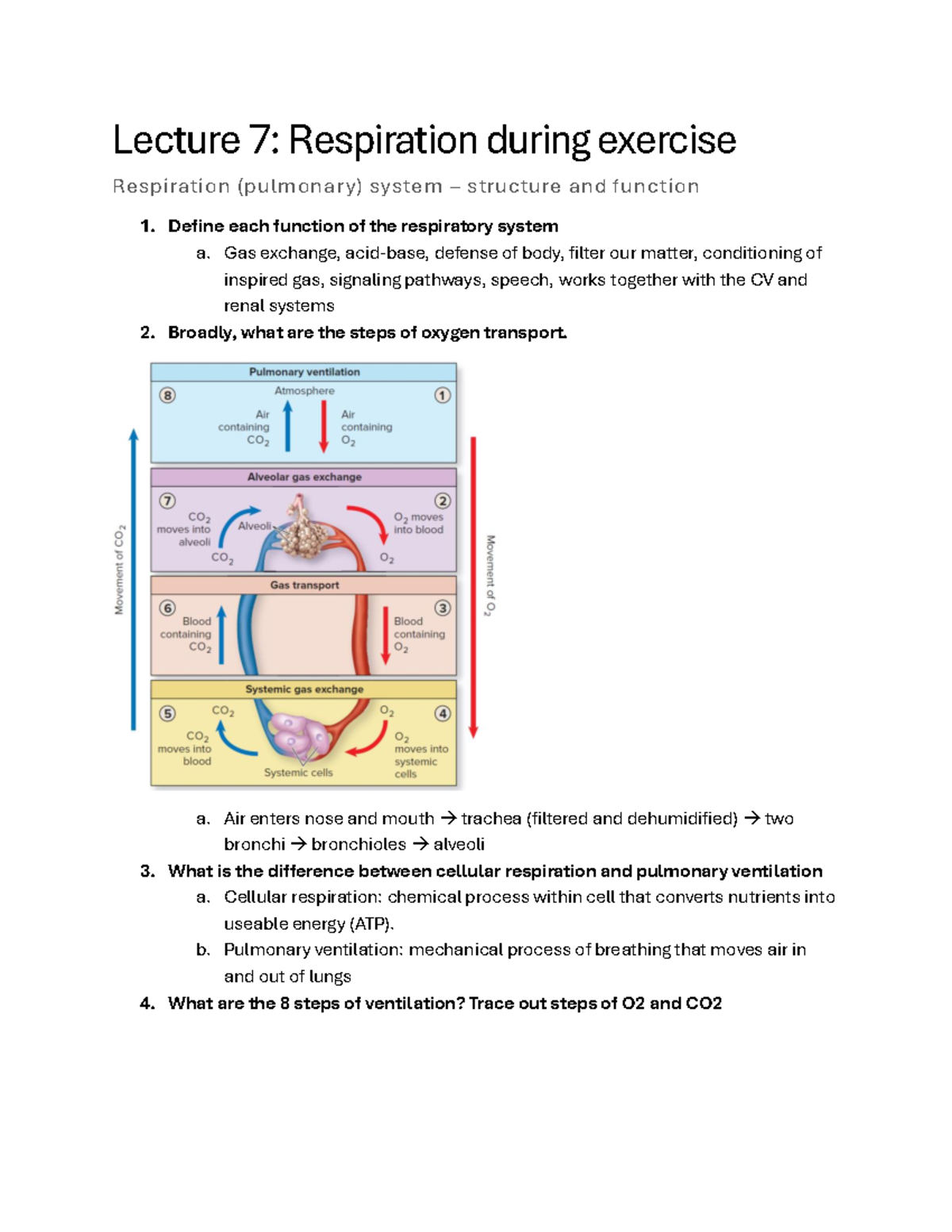 Lecture 7: Respiratory Physiology & Exercise Effects (BIO 101) - Studocu