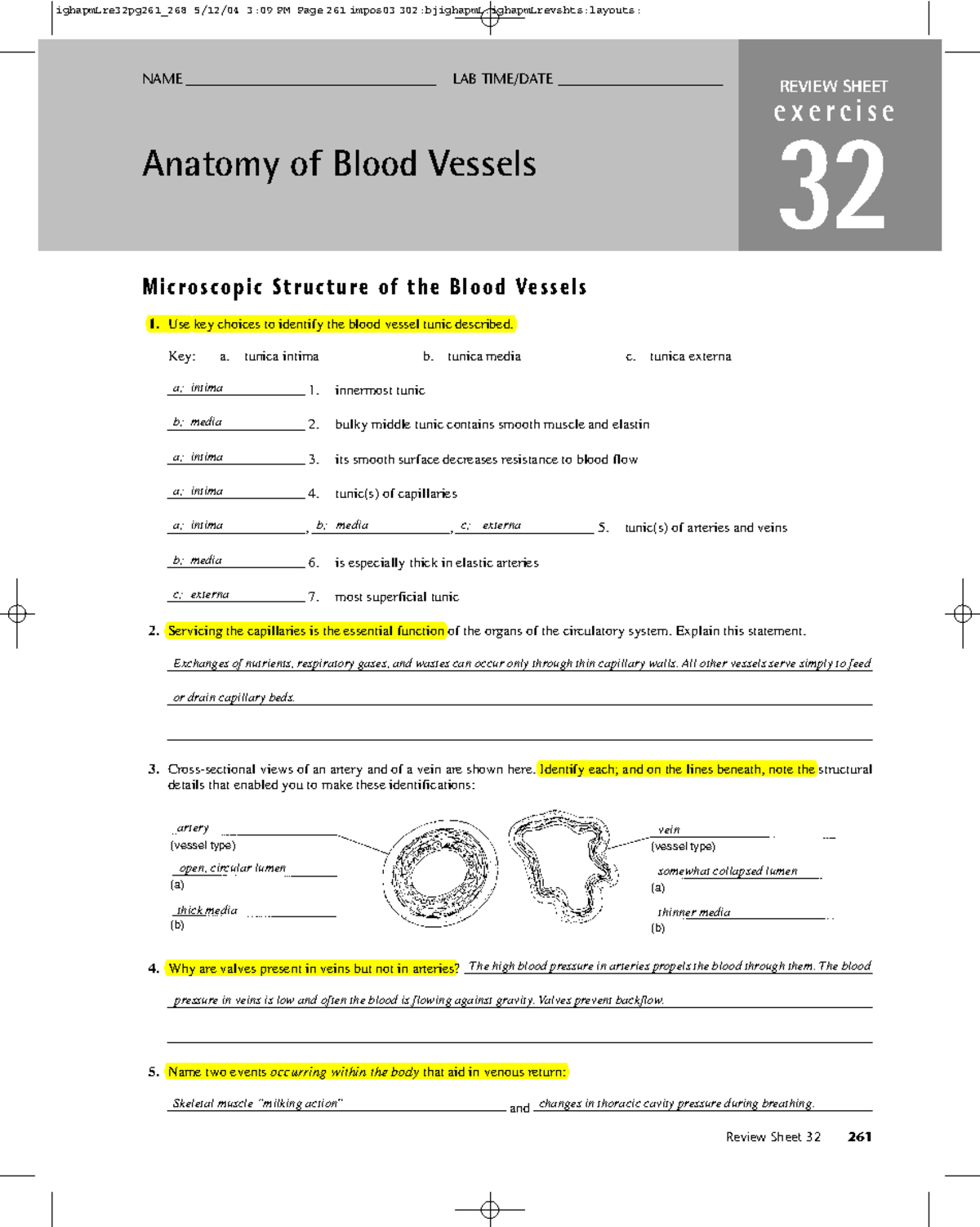 Anatomy of Blood Vessels Review Sheet (Course Code: ighapmL) - Studocu