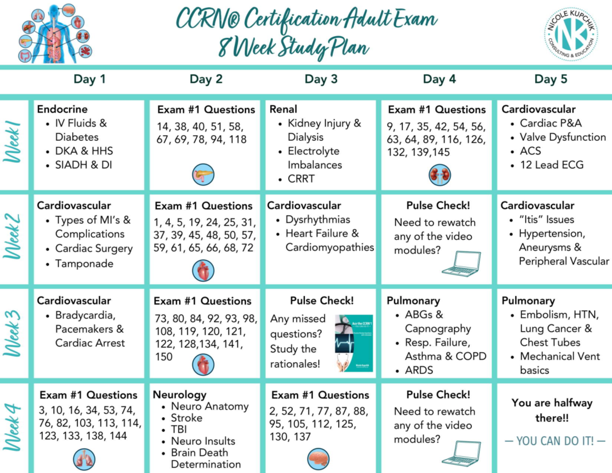 CCRN Certification Adult Exam 8-Week Study Plan - Studocu
