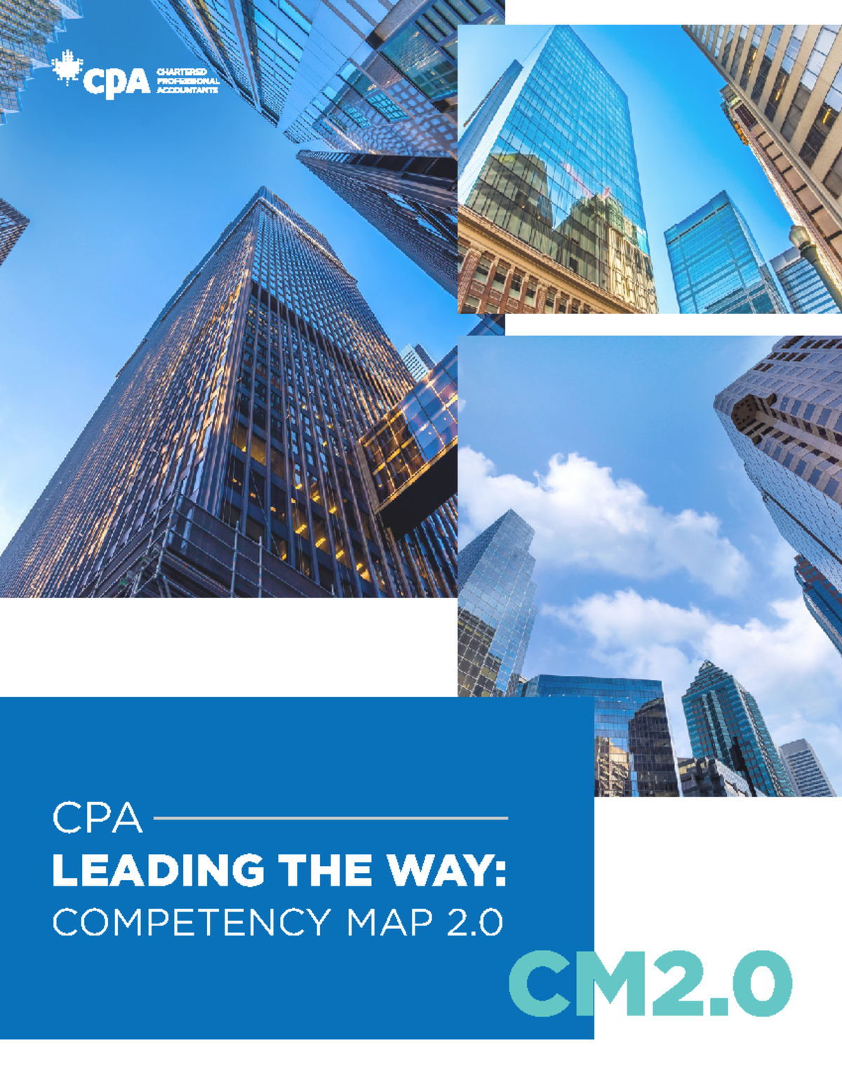 CPA Competency Map 2 - Lecture Notes Overview and Key Concepts - Studocu
