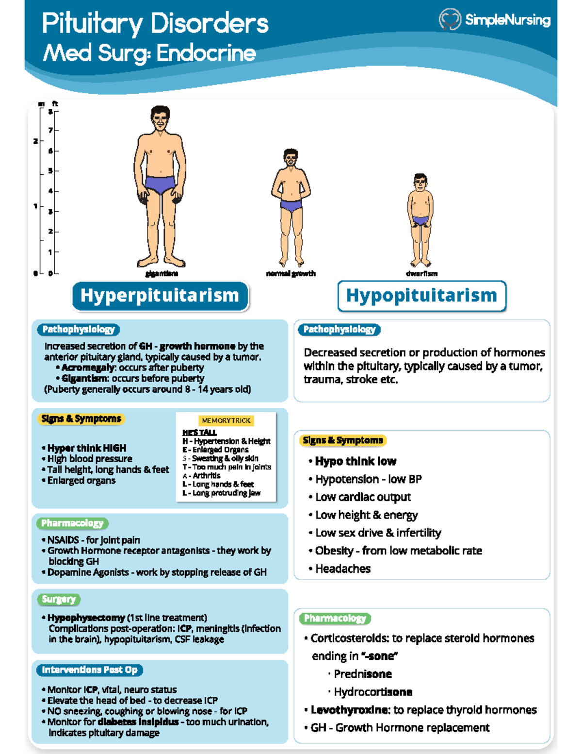 Endocrine - notes - S A MEMORY TRICK - Hyperpituitarism Hypopituitarism ...
