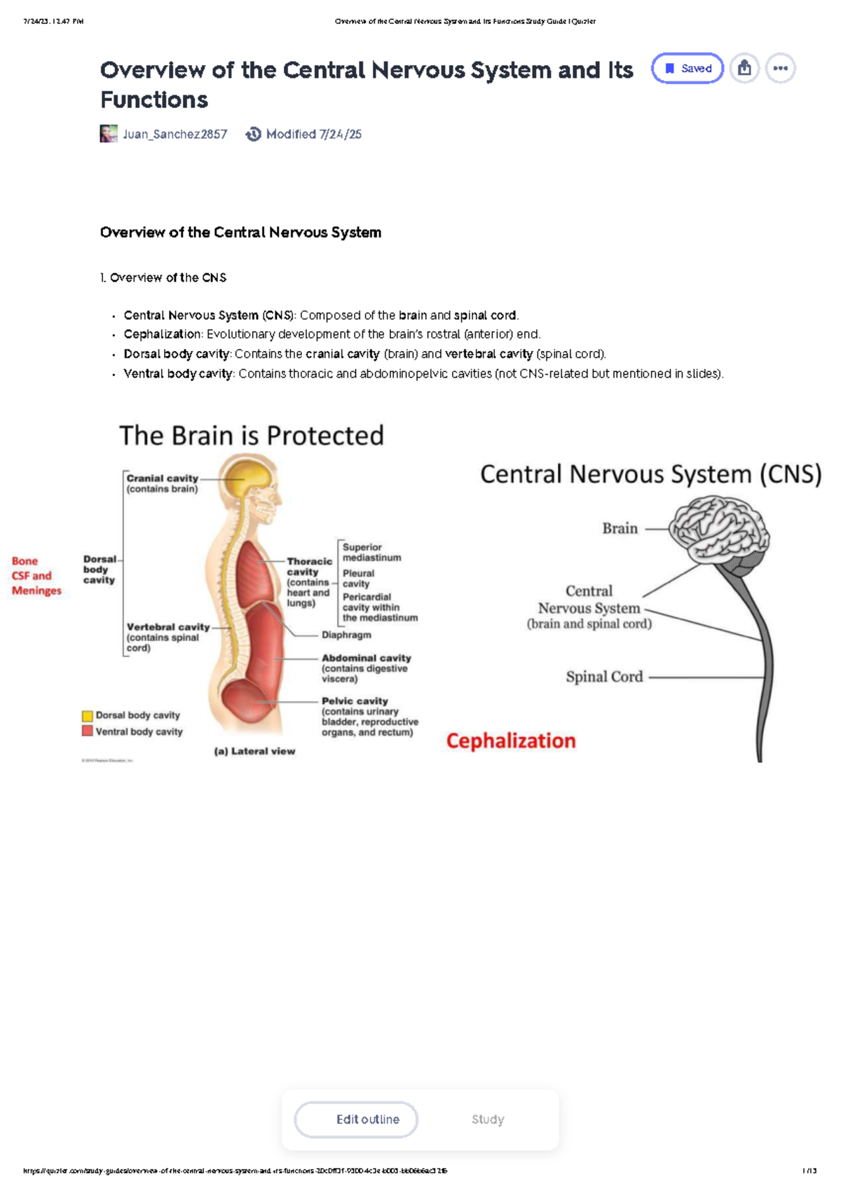 Bio 50A Final Exam Study Guide: Overview of the Central Nervous System ...