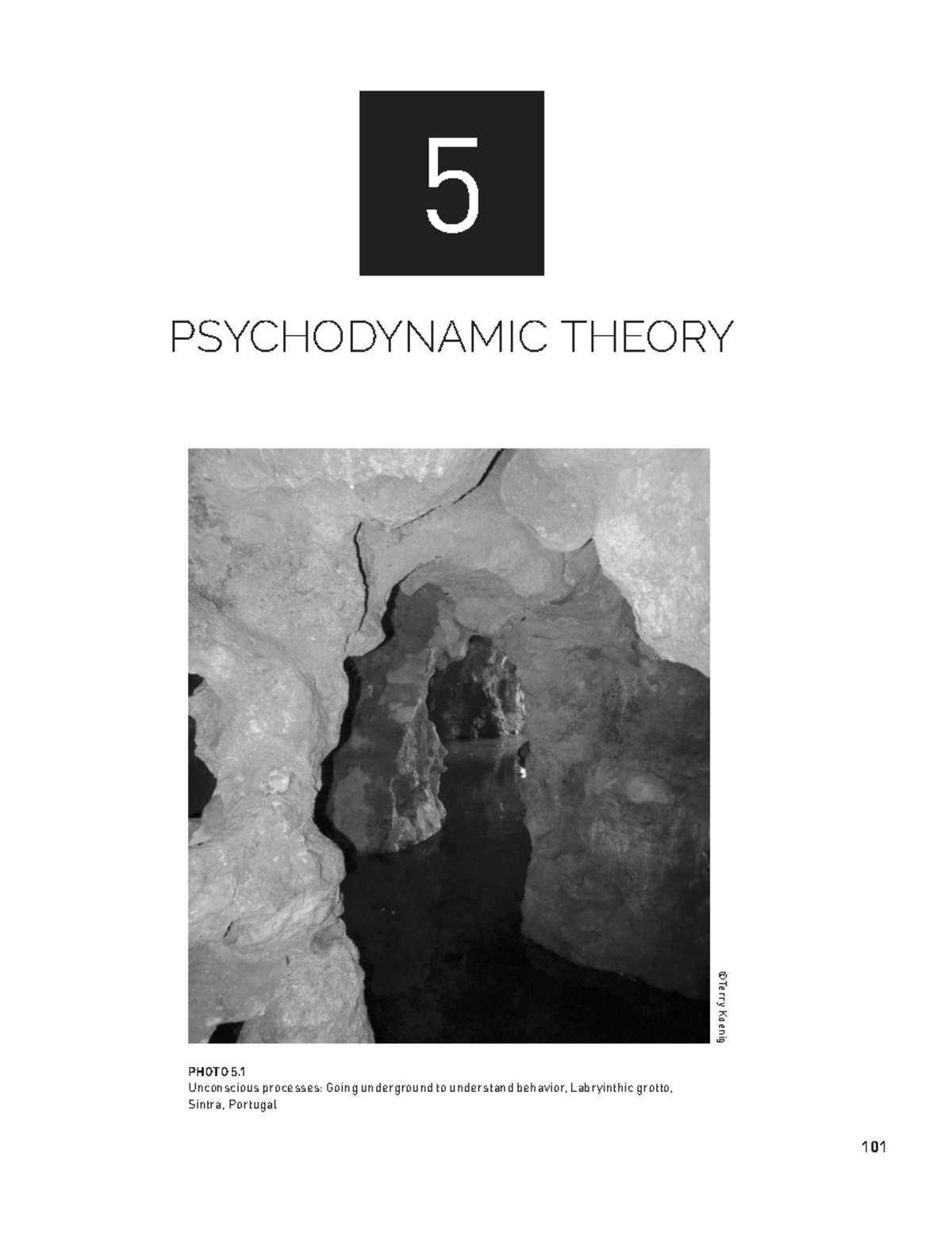 Human Behavior Theory in Social Work Practice: Psychodynamic ...