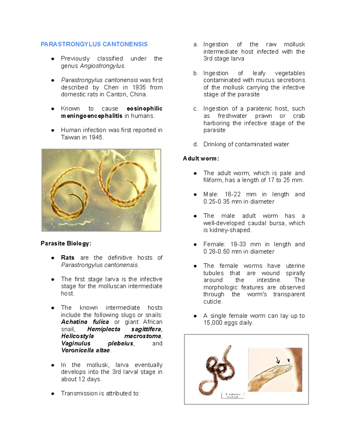 Tissue-Nematodes-2 - Summary Clinical Parasitology - PARASTRONGYLUS ...