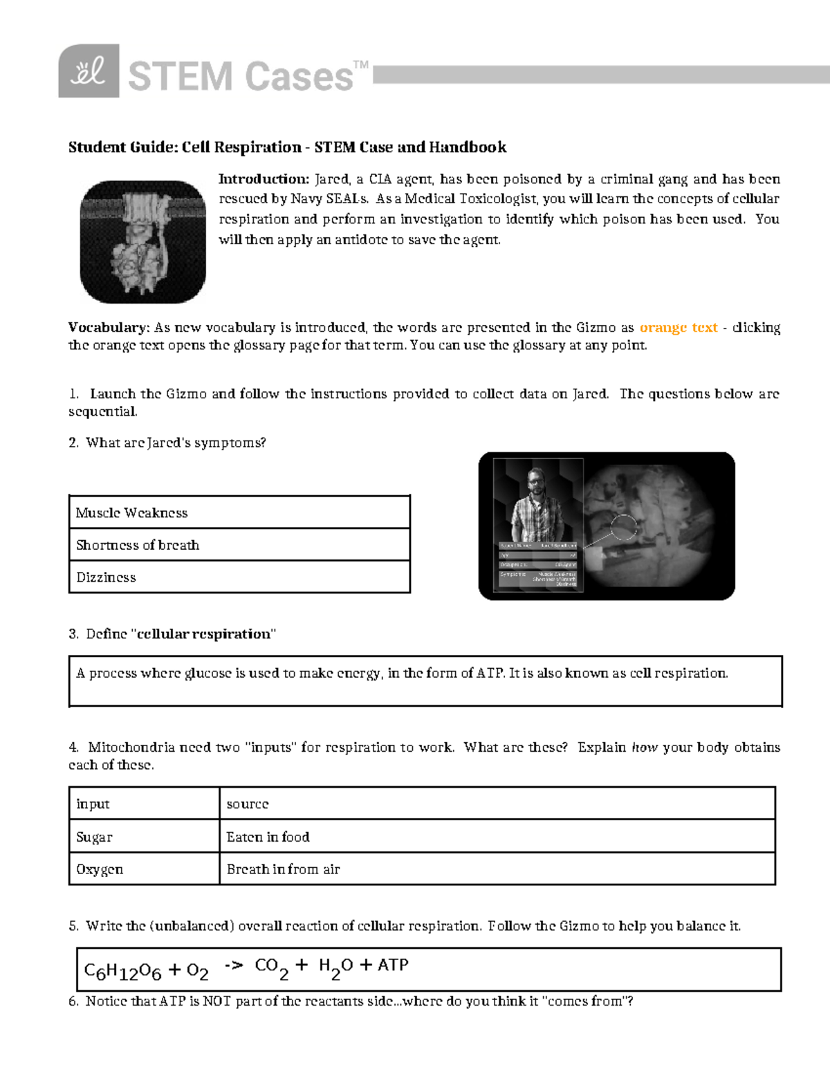 Cell Respiration Stem Case - Student Guide: Cell Respiration - STEM Case and Handbook ...