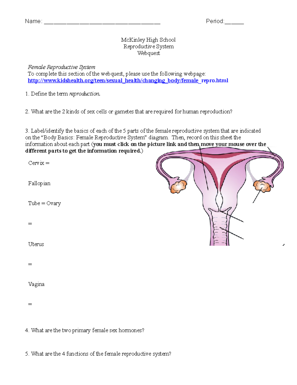 Reproductive system webquest - Name ...