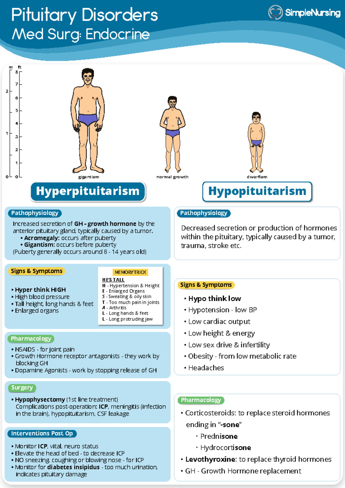 Pituitary Disorders Med Surg: Overview of Hyper and Hypopituitarism ...