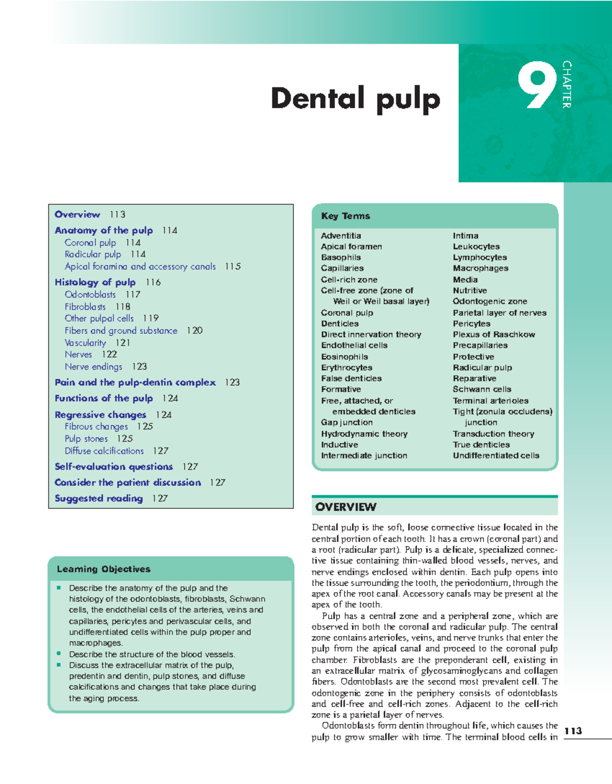 Pulp-1 - Essential Notes on Oral History and Dental Anatomy - Studocu