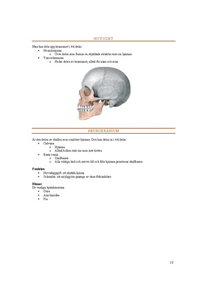 Handens ben - En sammanfattning av anatomi - HANDEN RÖRELSER x Handled ...