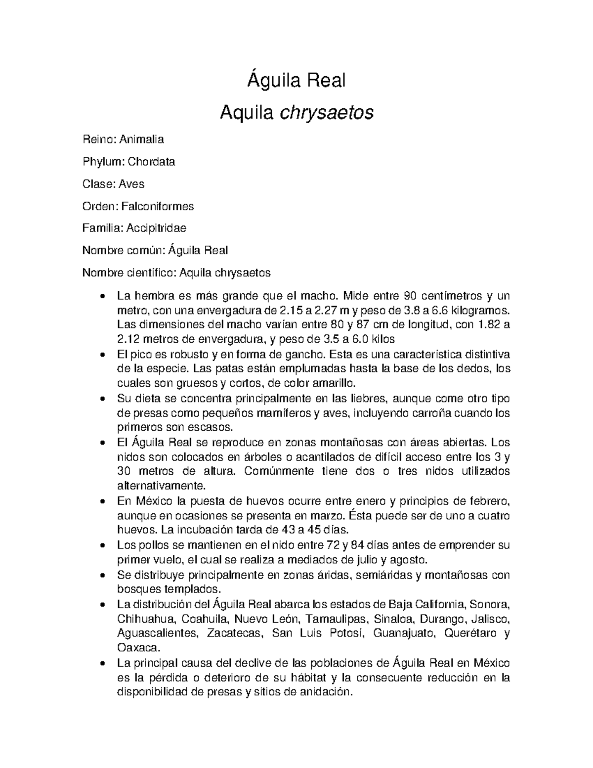 Águila Real - Águila Real Aquila chrysaetos Reino: Animalia Phylum ...