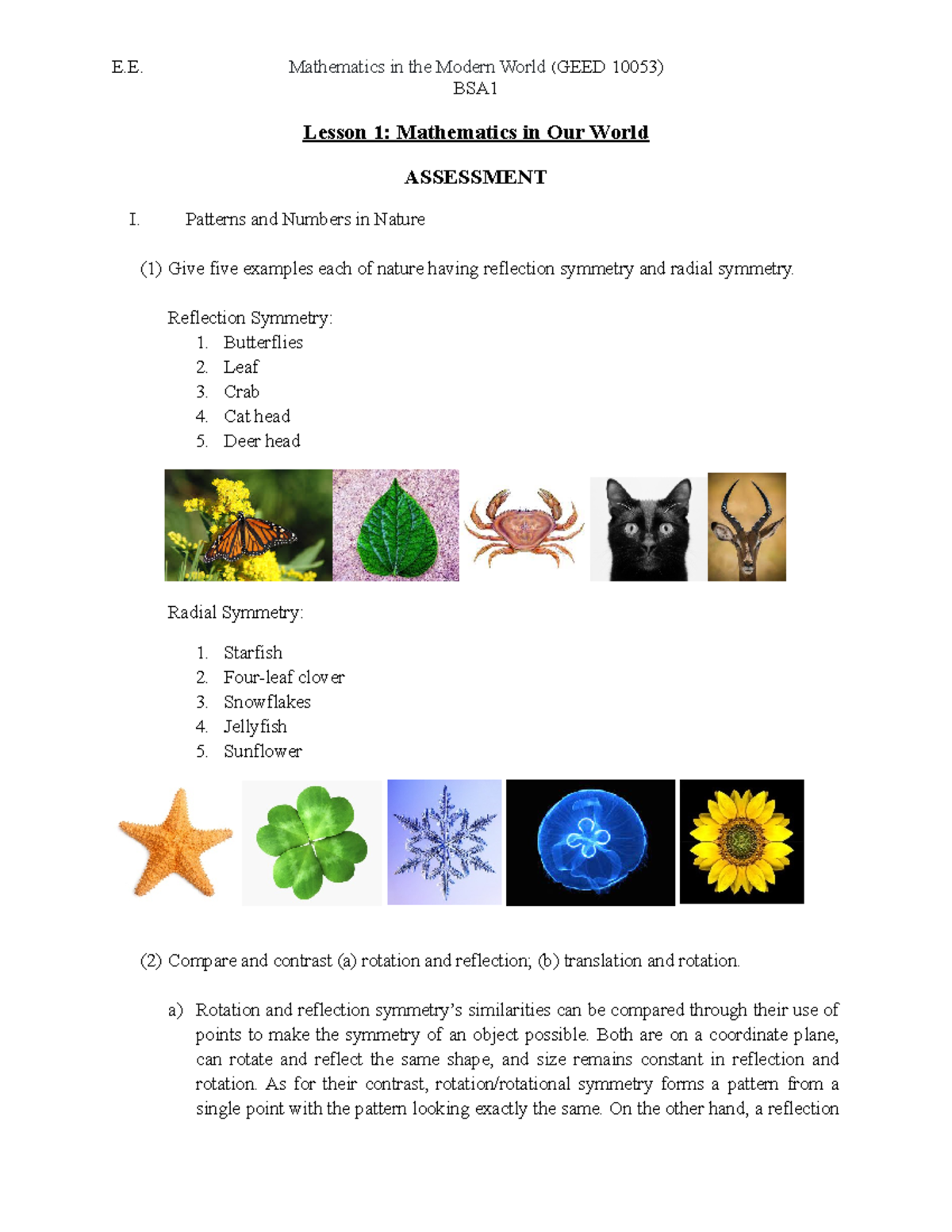 MMW - Lesson 1: Exploring Patterns in Nature (GEED 10053) - Studocu