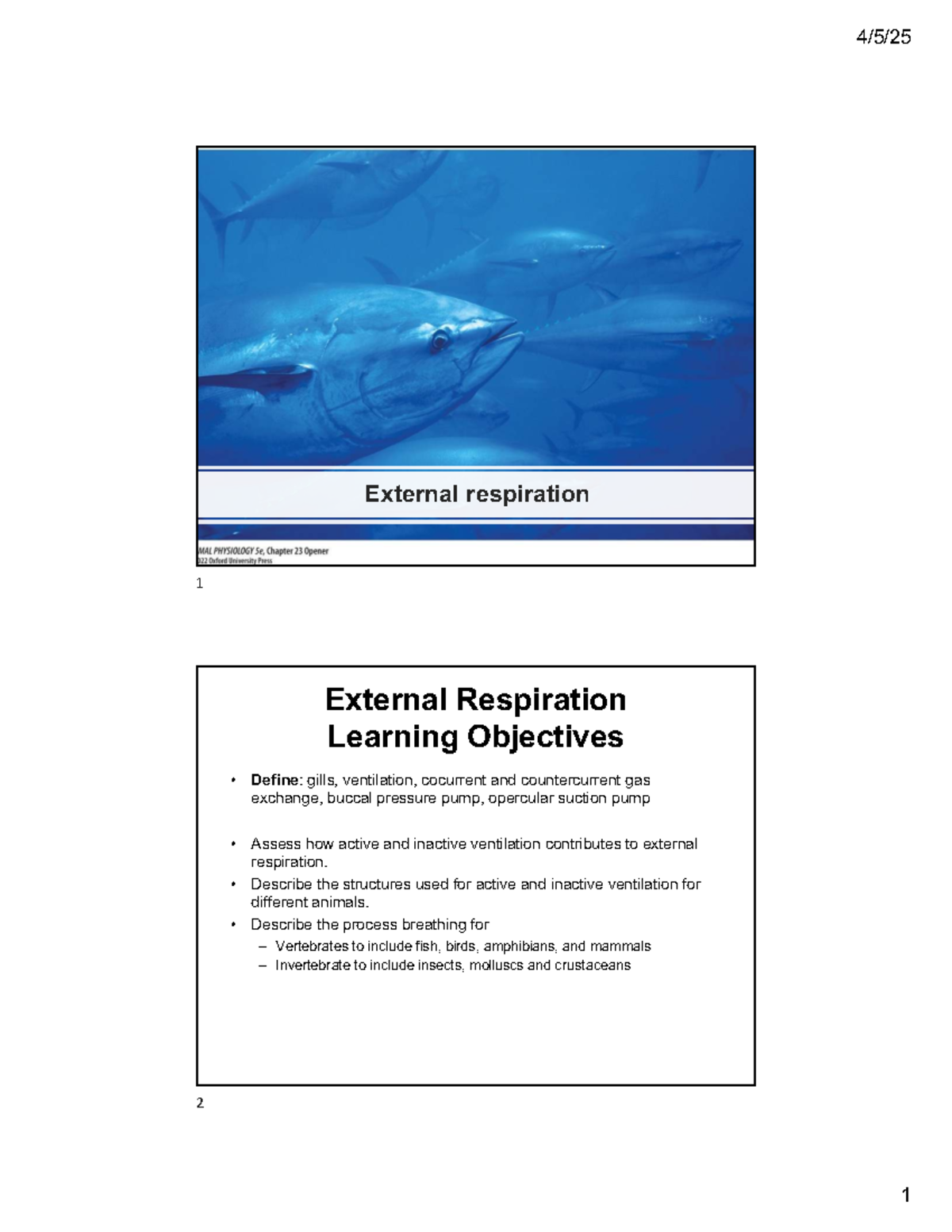 External Respiration and Gas Exchange Processes in Animals (Biology 101 ...