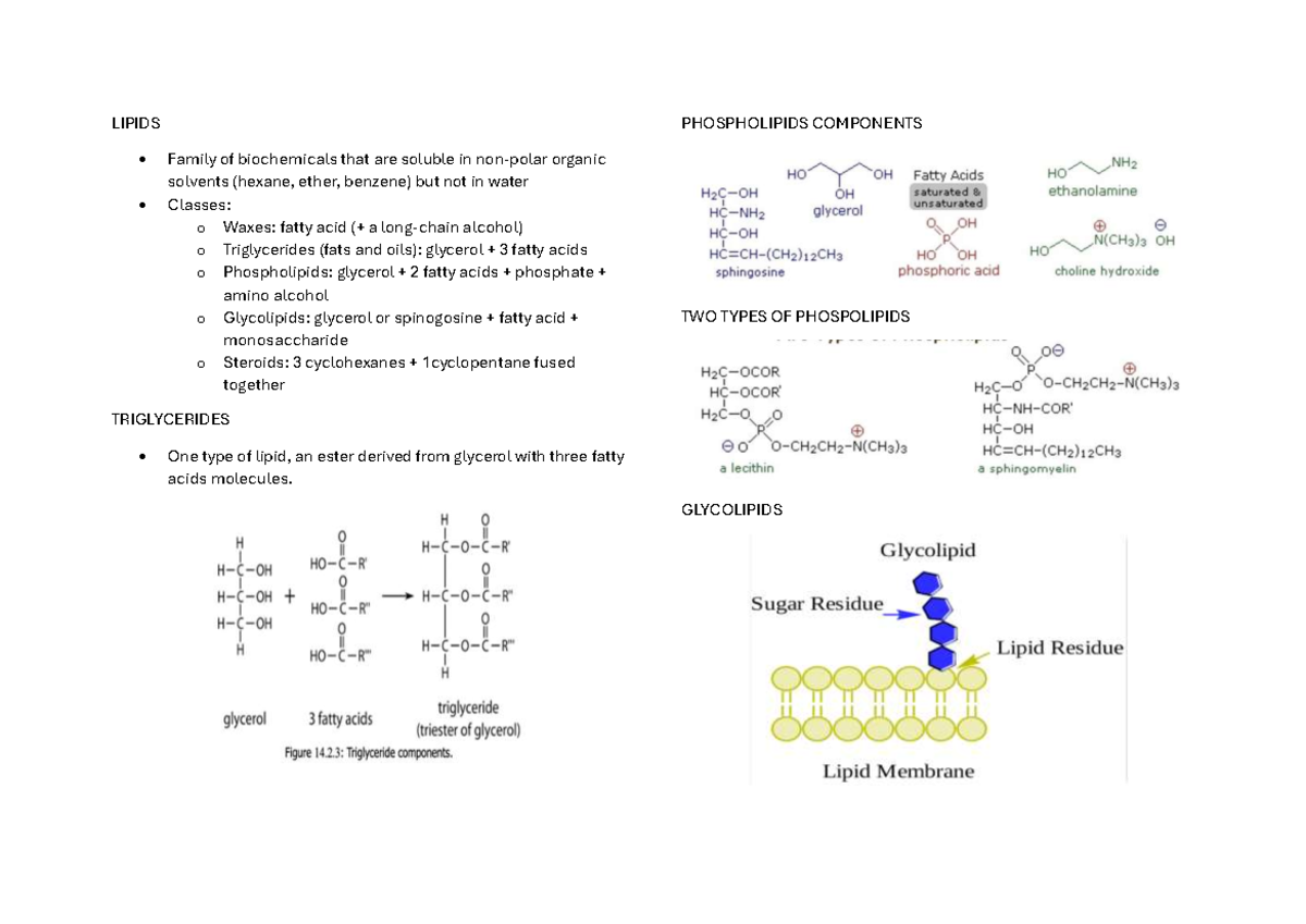 Lipids - biochem - LIPIDS Family of biochemicals that are soluble in ...