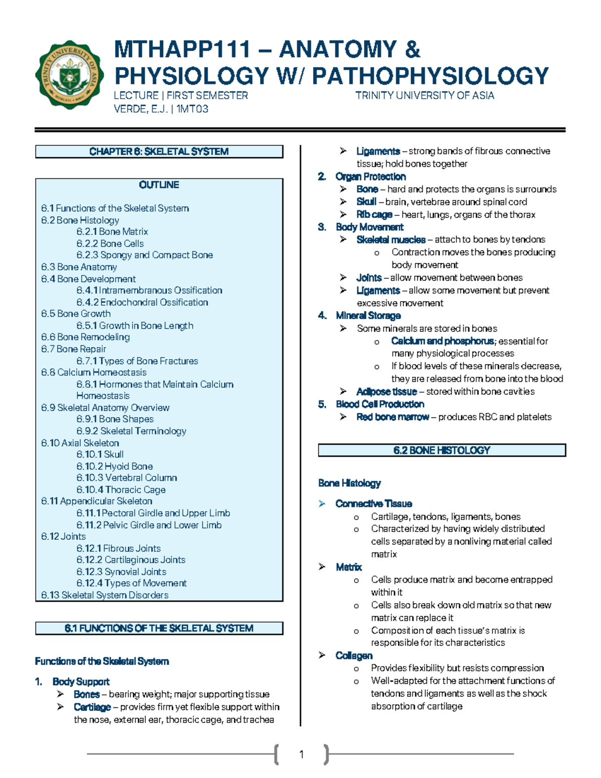 Mthapp 100LEC Chapter 6 Skeletal System - PHYSIOLOGY W/ PATHOPHYSIOLOGY ...