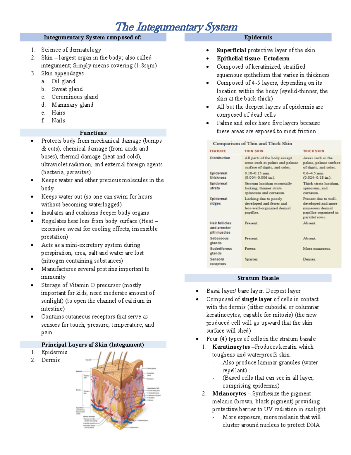 Integumentary System Overview - HAPP - Studocu