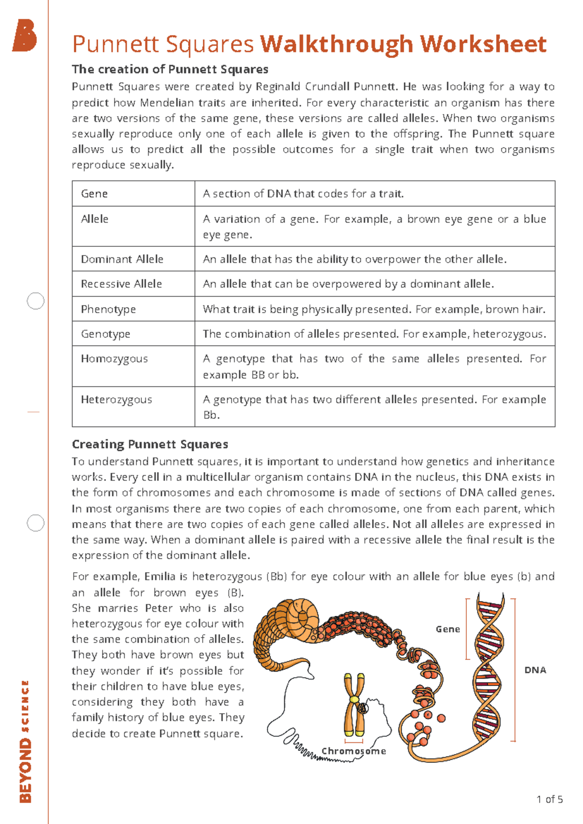 Lesson 1: Punnett Squares Guide and Worksheets for Genetics - Studocu