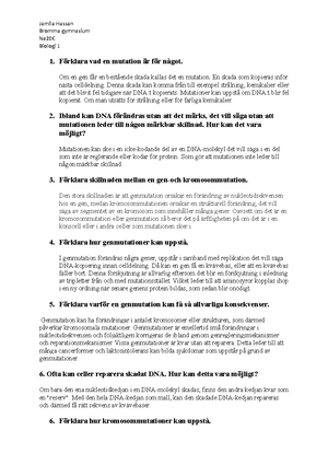 An-unexpected-chat-story-structure-worksheet-5 - An Unexpected Chat ...