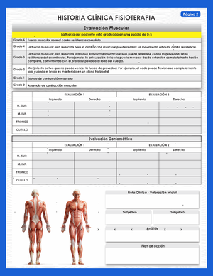 Centro vasomotor del cerebro y control del sistema vasoconstrictor - 2 ...